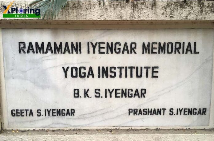 10 Best Yoga Institutes in India For a Transformative Journey